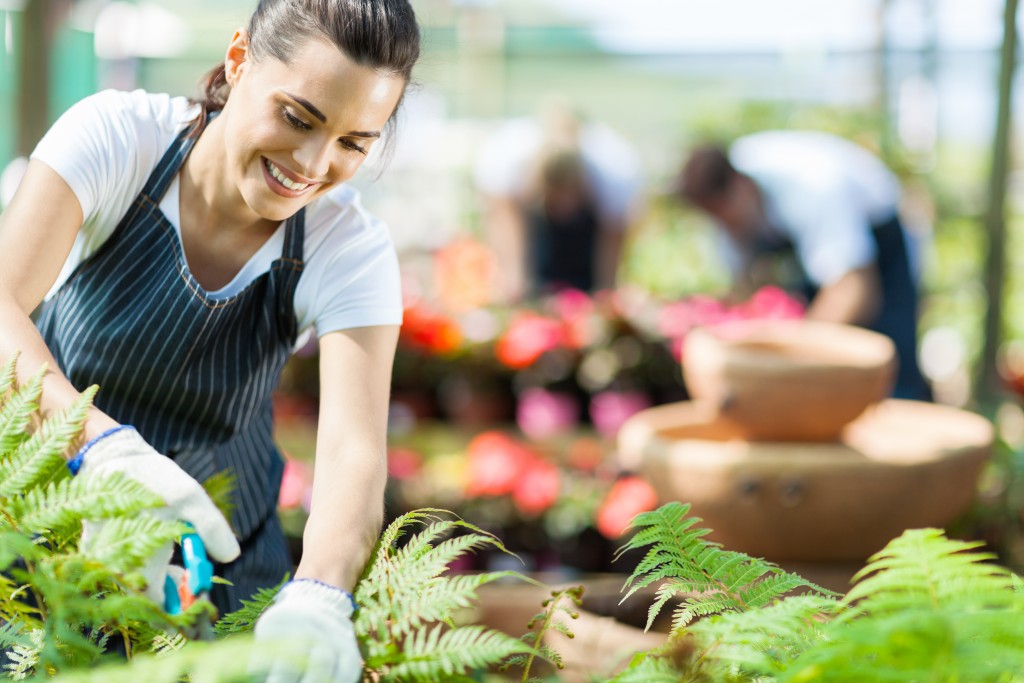Basic Things you should Know about Gardening | Children First America